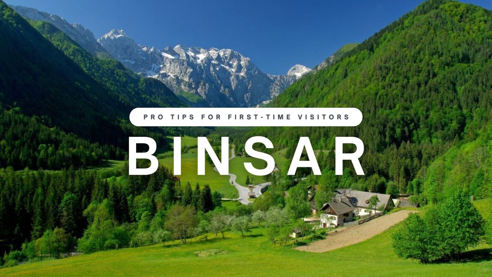 Journey to Binsar: Pro Tips for First-Time Visitors to Uttarakhand