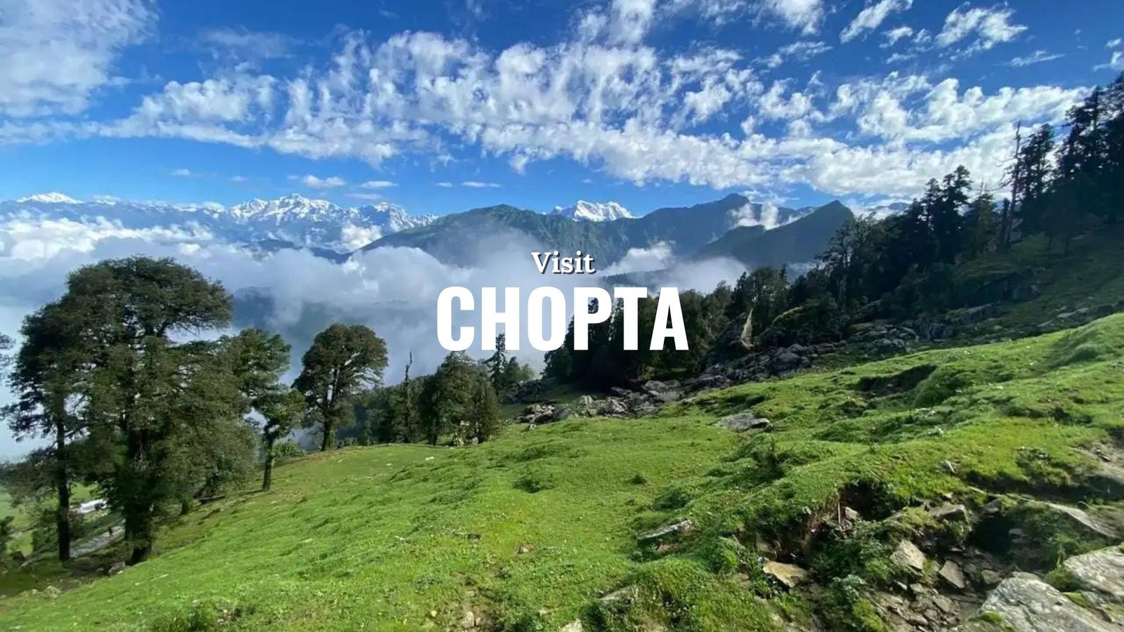 Chopta - Things to do, Places to Visit, Complete Guide