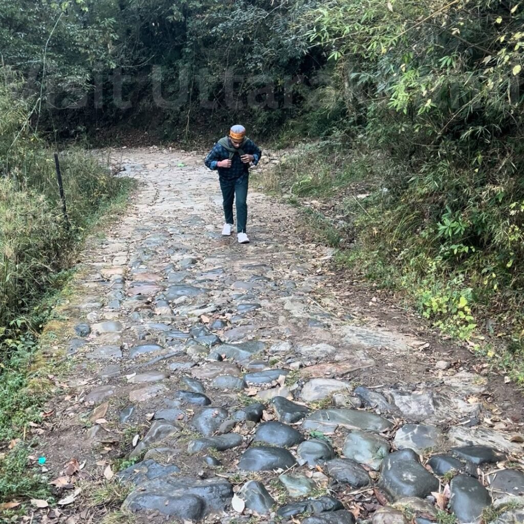 Tiffin Top Nainital: How to Reach, Distance, Complete Guide | VU